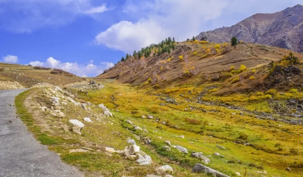 Real Deosai Plains National Park Travel Guide 2026