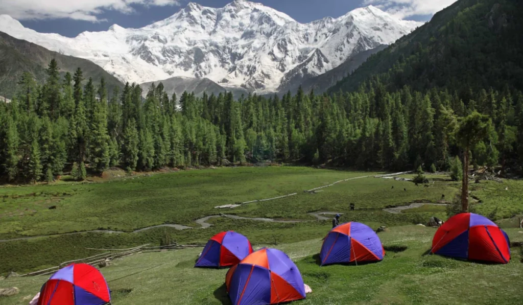 Rupal Valley Gilgit Baltistan – Complete Tourist Guide 2026